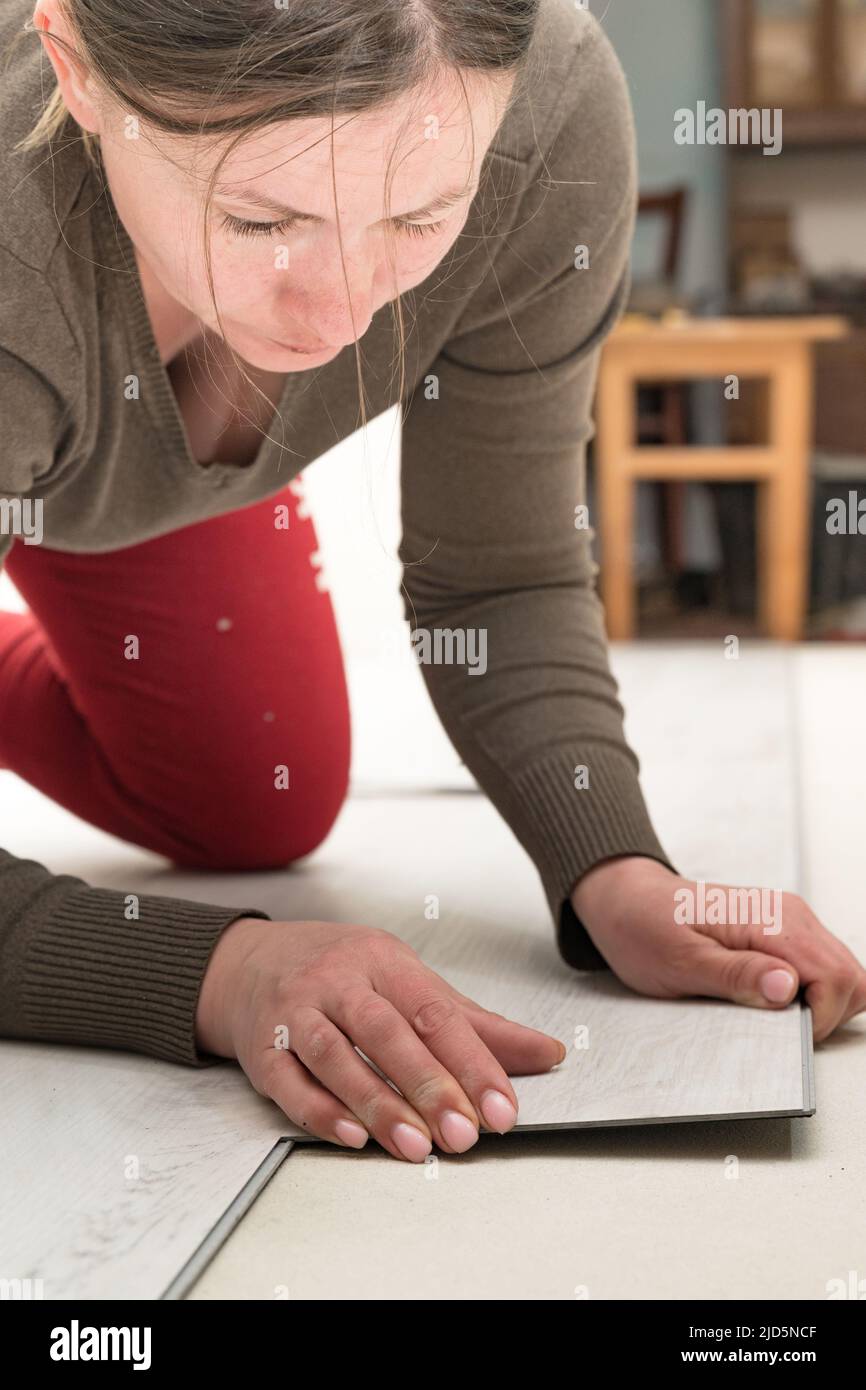 Installation of quartz vinyl floor, female master installs the floor ...