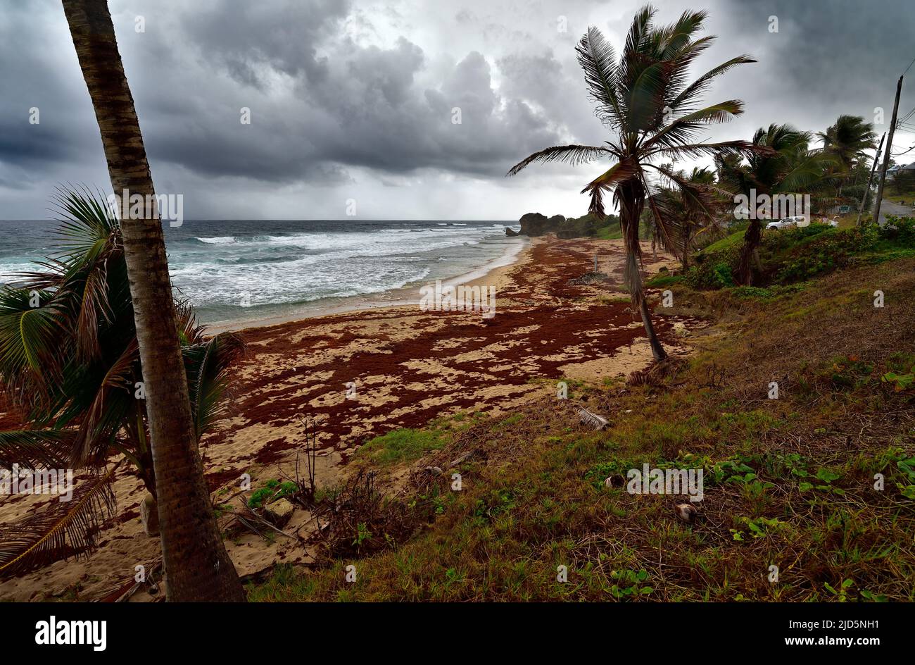 Barbados weather hi-res stock photography and images - Alamy