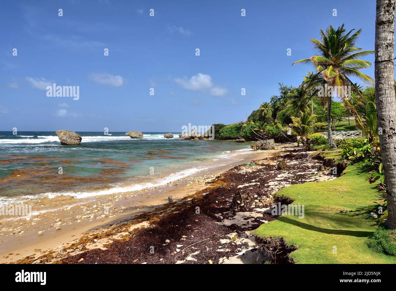 Blue sky above the beach of Bathsheba, East coast of island Barbados ...