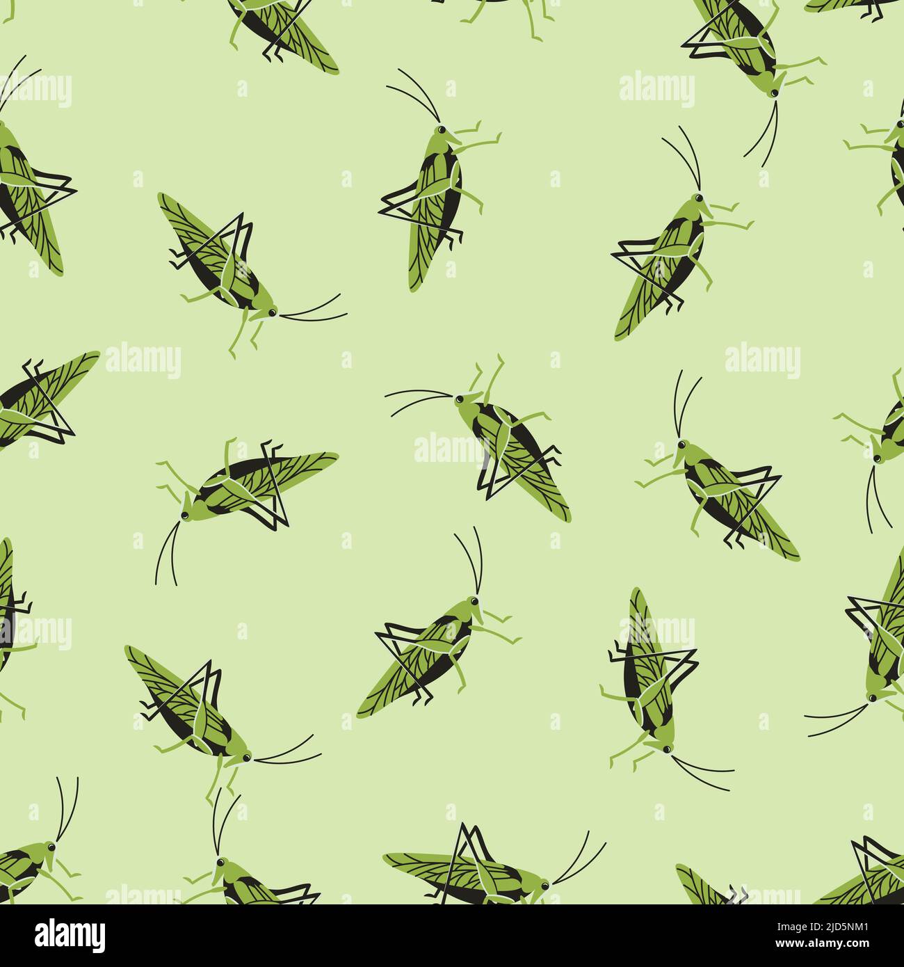 Grasshopper repeat hi-res stock photography and images - Alamy