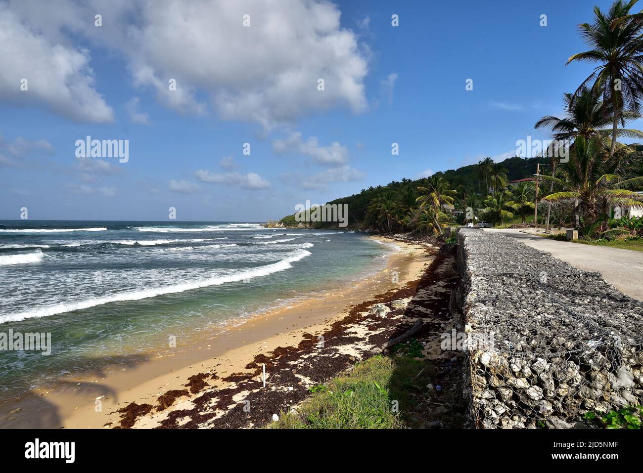 The Coastline in Barbados with Rocks and Ocean Water Stock Photo - Alamy
