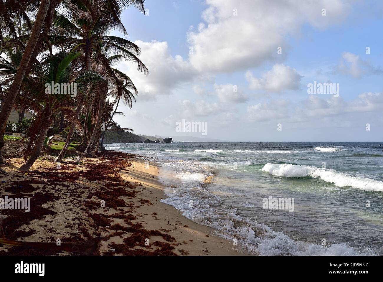 The coastline in Barbados with Rocks and Ocean Water Stock Photo - Alamy
