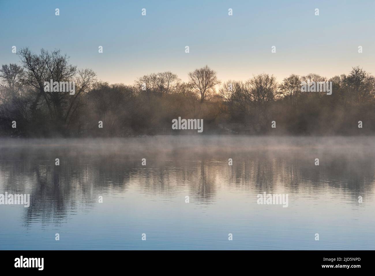 Sunlight lighting up trees hi-res stock photography and images - Alamy