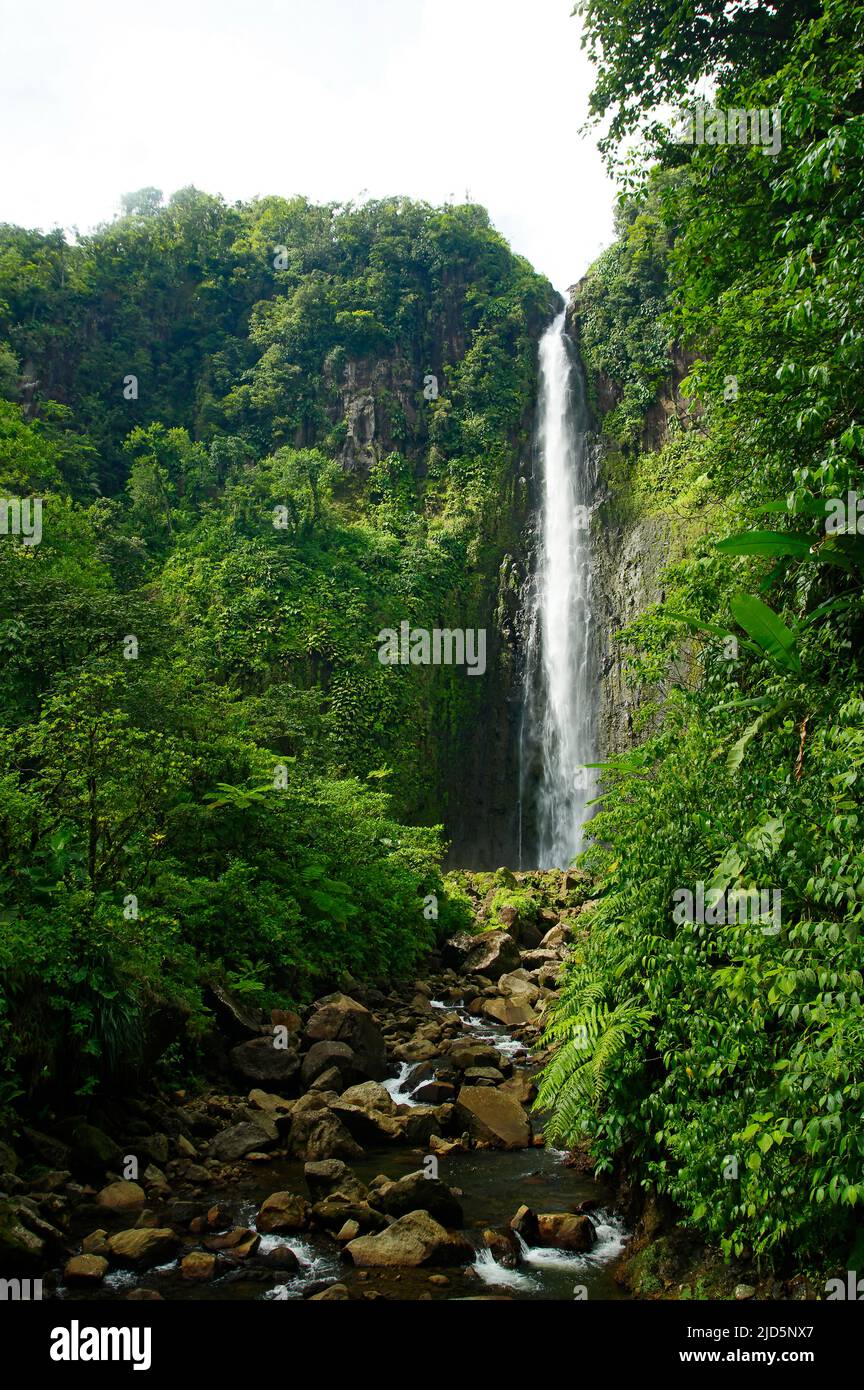 Chute du Carbet - second Carbet - one of three waterfalls inside a ...