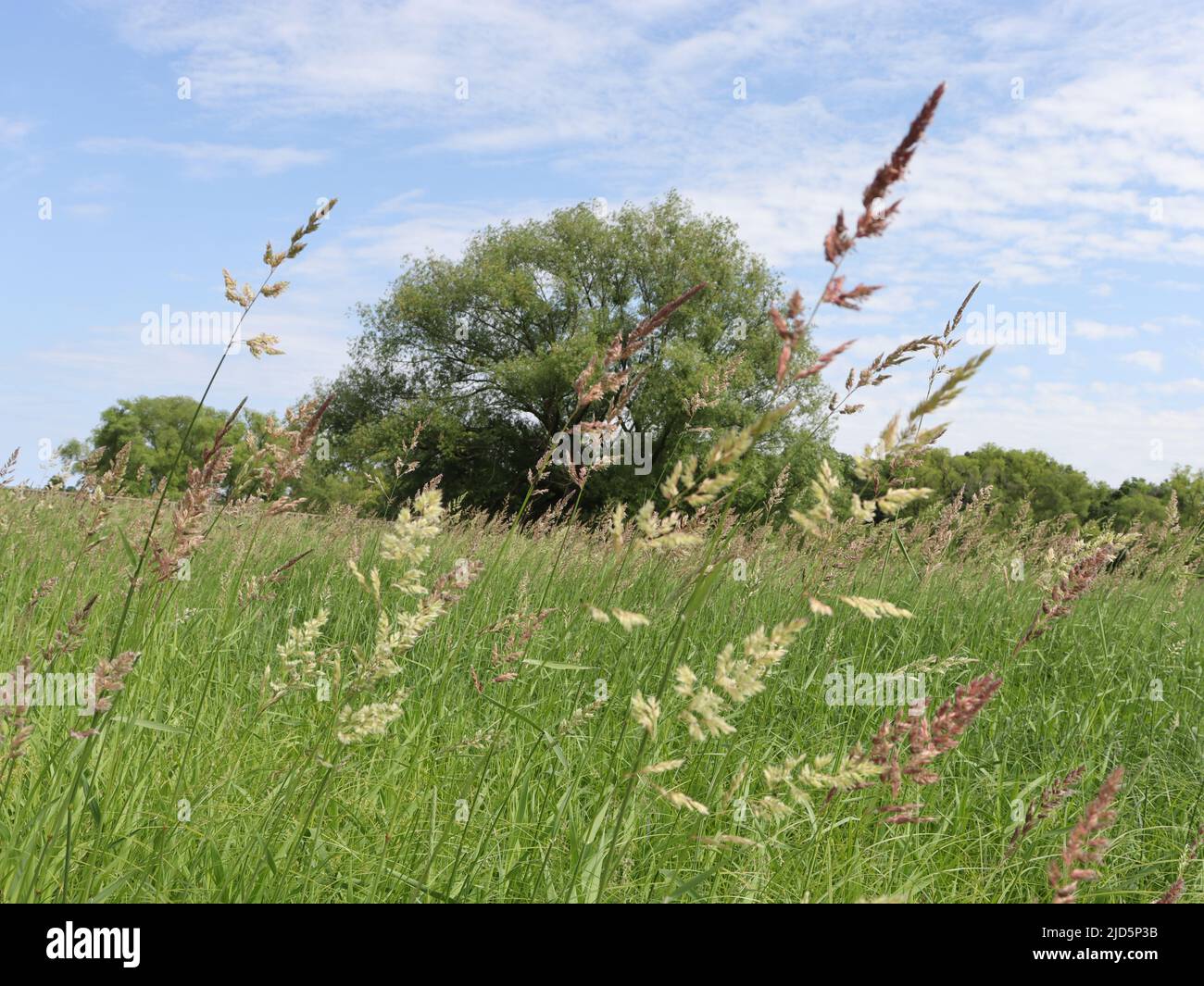 Naturewalk hi-res stock photography and images - Alamy