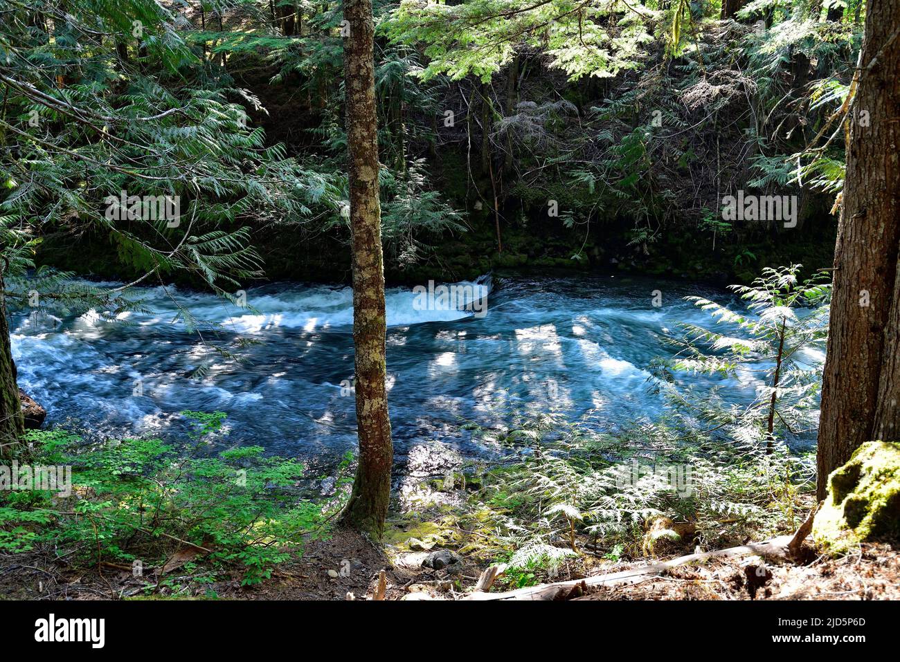 The rough waters of a Lillooet mountain river, British Columbia, Canada ...