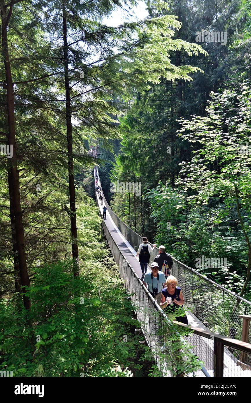 Capilano cliffwalk suspension bridge hi-res stock photography and ...