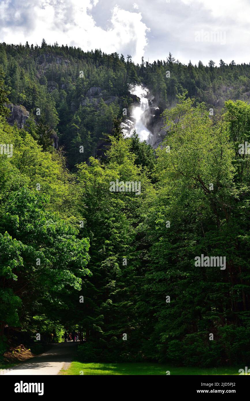 Shannon Falls near Squamish, British Columbia, Canada Stock Photo - Alamy