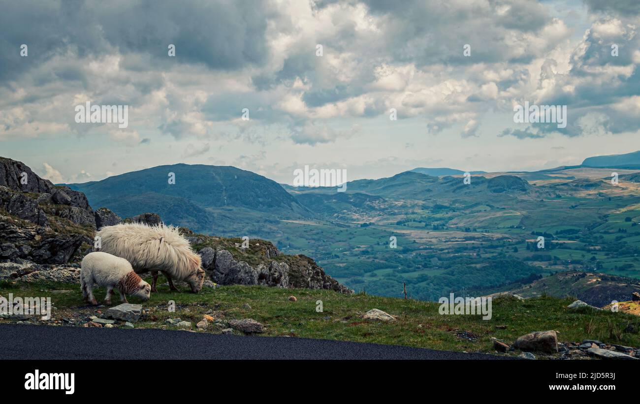 Stwlan dam North Wales Stock Photo - Alamy