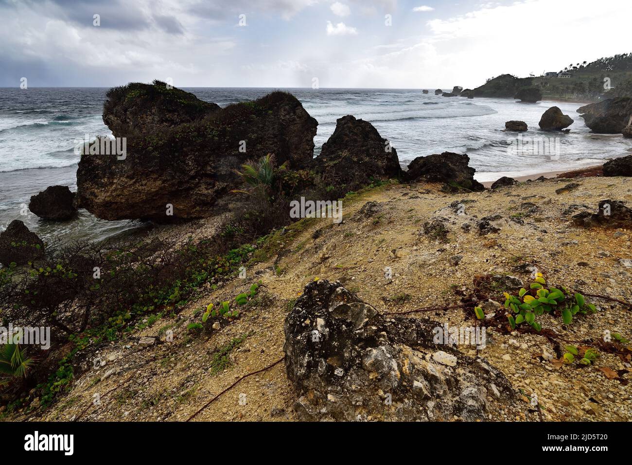 Stormy weather above famous rocks formation on the beach of Bathsheba ...