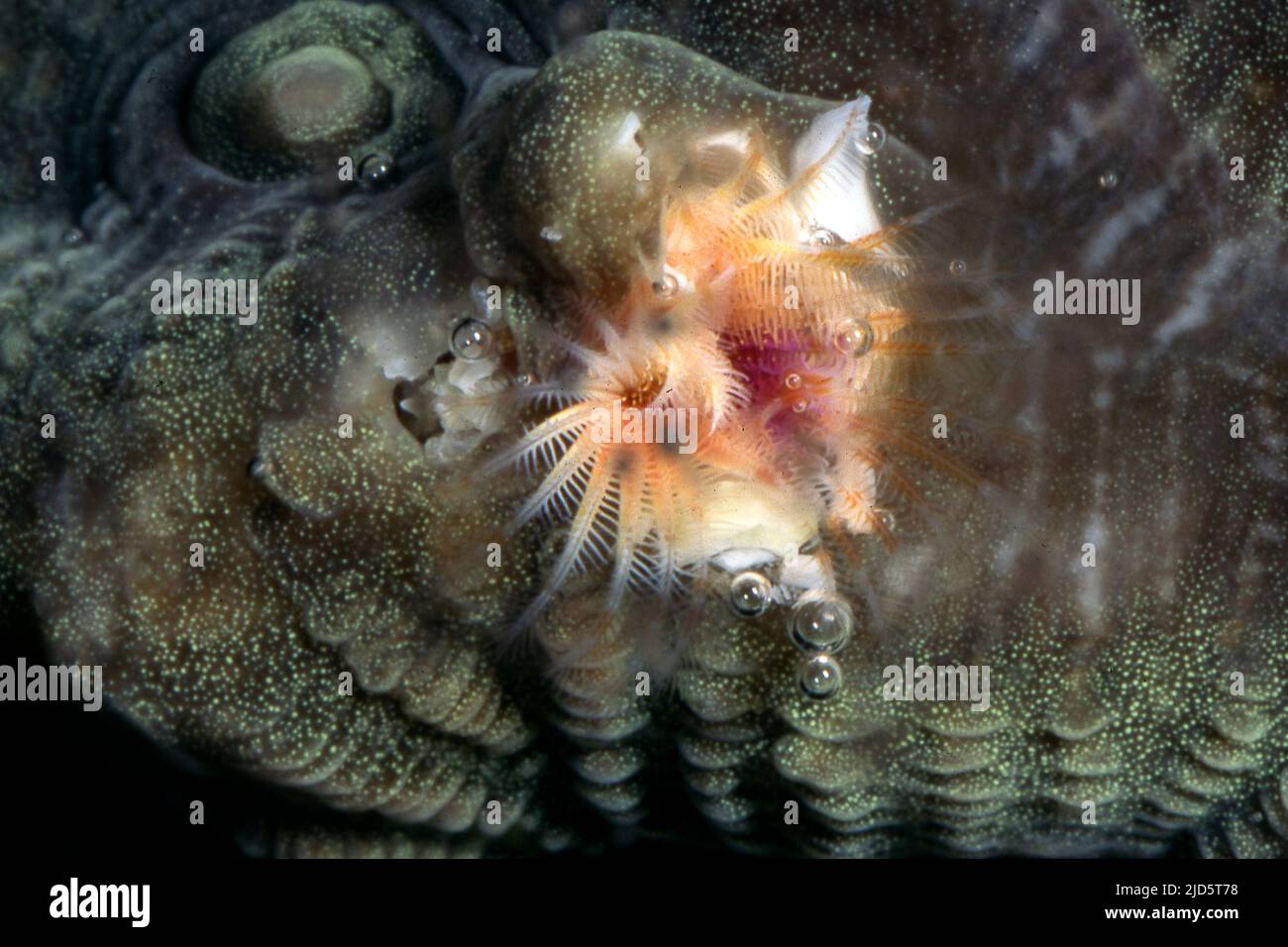 Leddmark hi-res stock photography and images - Alamy