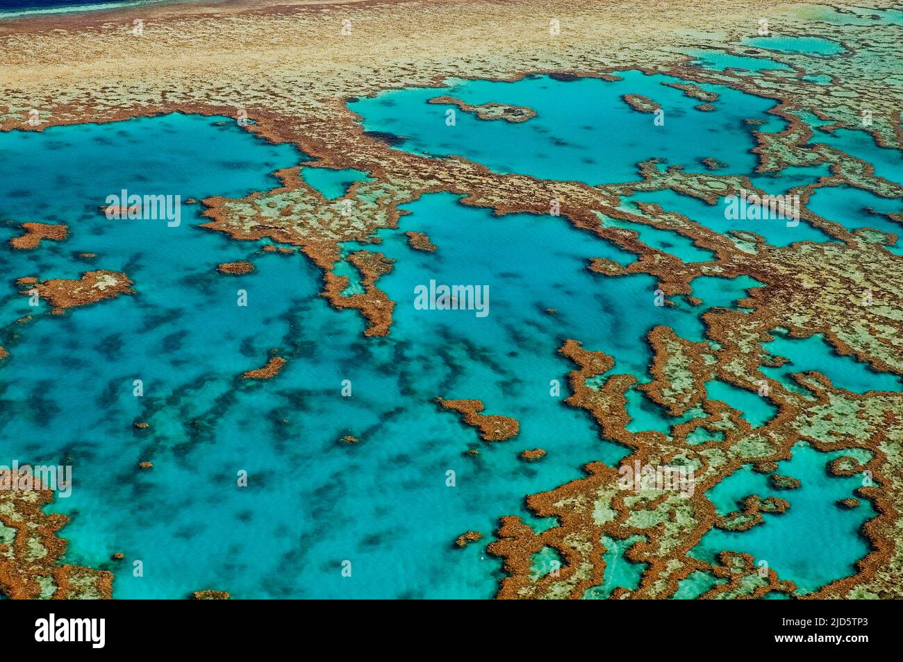 Close up of a section of Hook and Hardy Reef, middle section of the ...