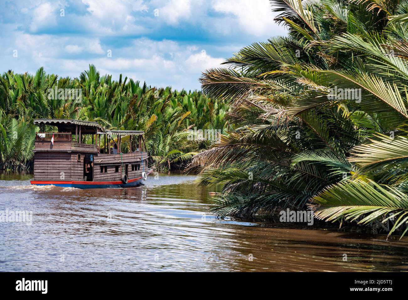 Nipa palms (Nypa fruticans) along the banks of Sekonyer River, Tanjung ...