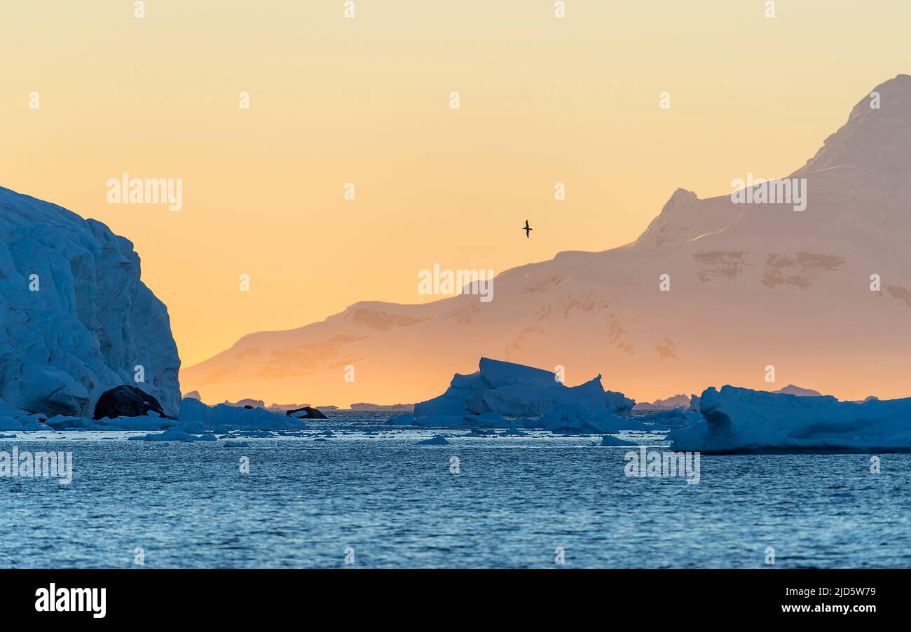 Ronge island hi-res stock photography and images - Alamy