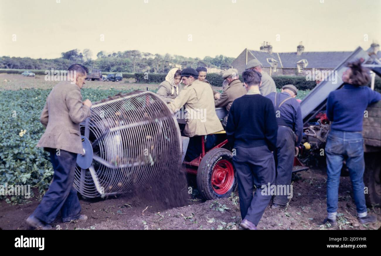 Historical photo of an agricultural farming scene with farm workers ...