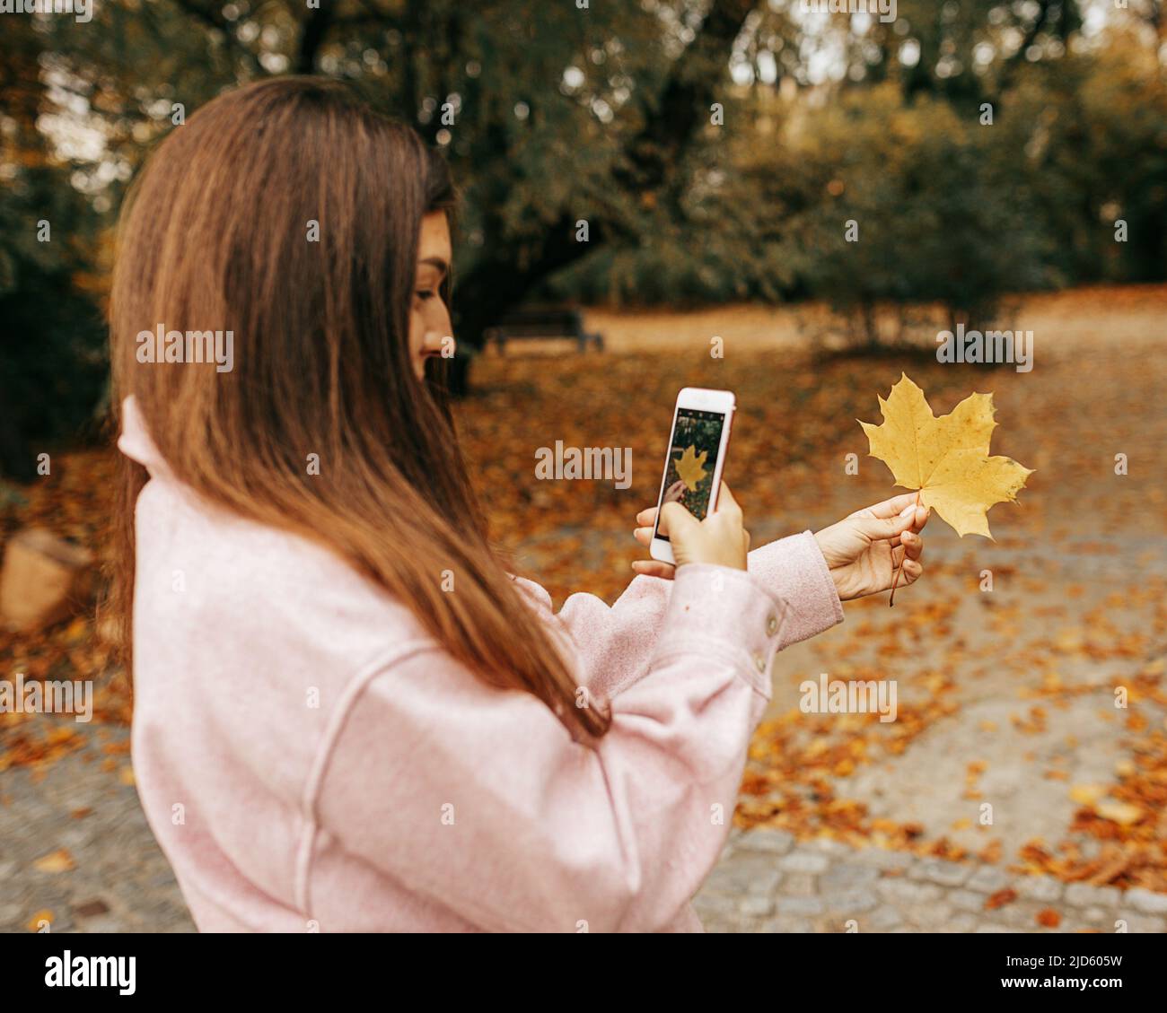 Beautiful women photographs hi-res stock photography and images - Alamy