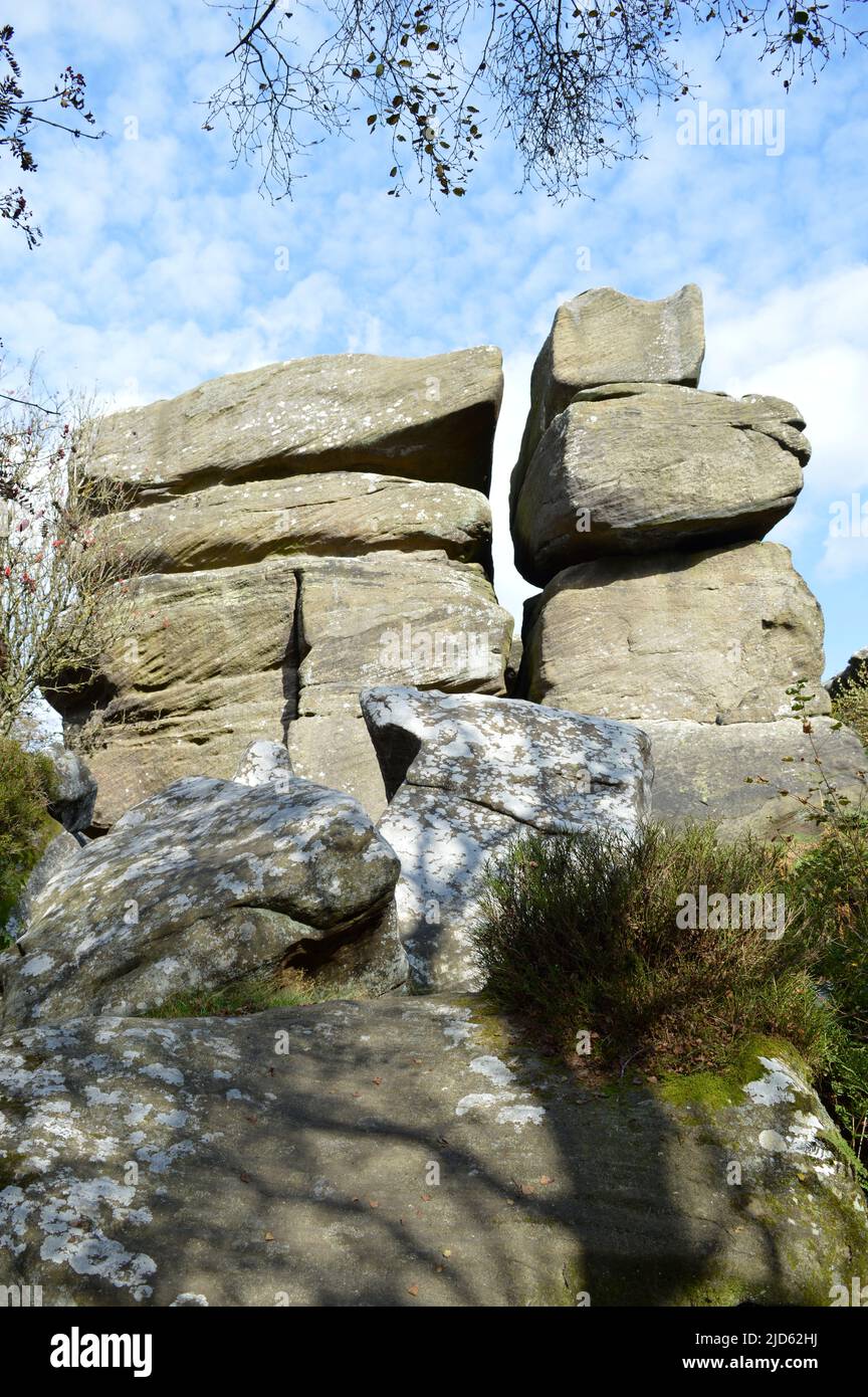 Bingham rocks is a Site of Special Scientific Interest formed over 325 ...