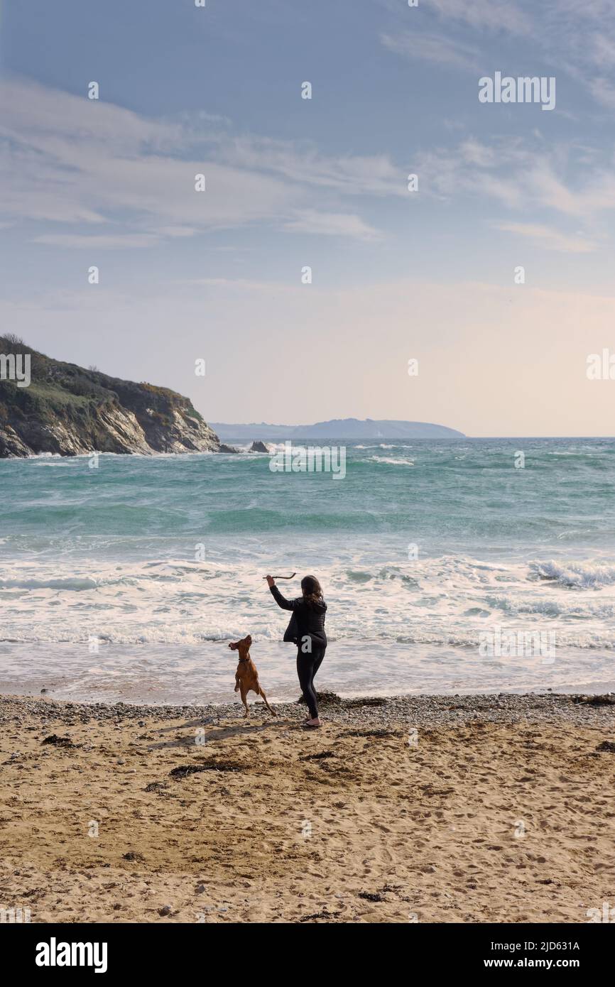 Easter fun at Maenporth, Cornwall Stock Photo - Alamy