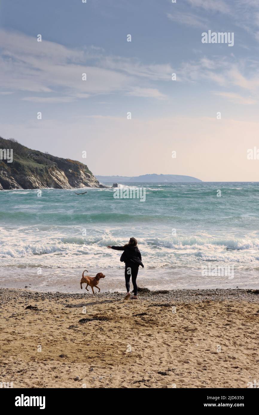 Easter fun at Maenporth, Cornwall Stock Photo - Alamy