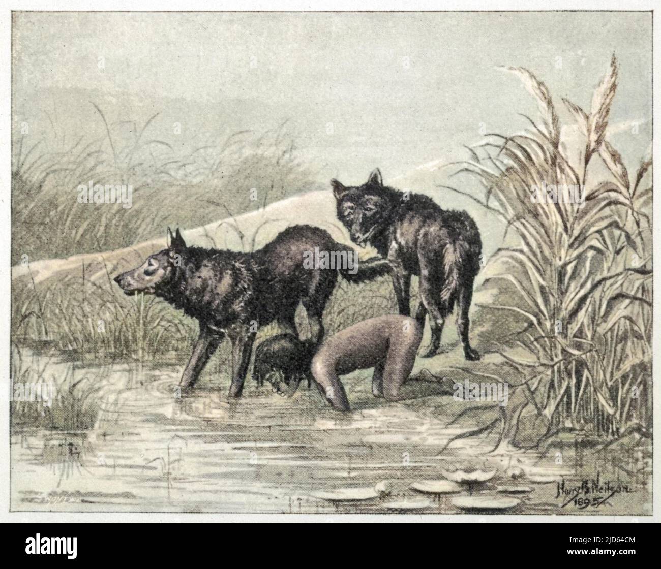 Feral boy hi-res stock photography and images - Alamy