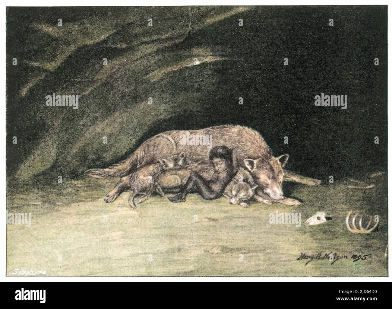 Wolf adopting human child 2 of 5 Colourised version of : 10001225 Date ...