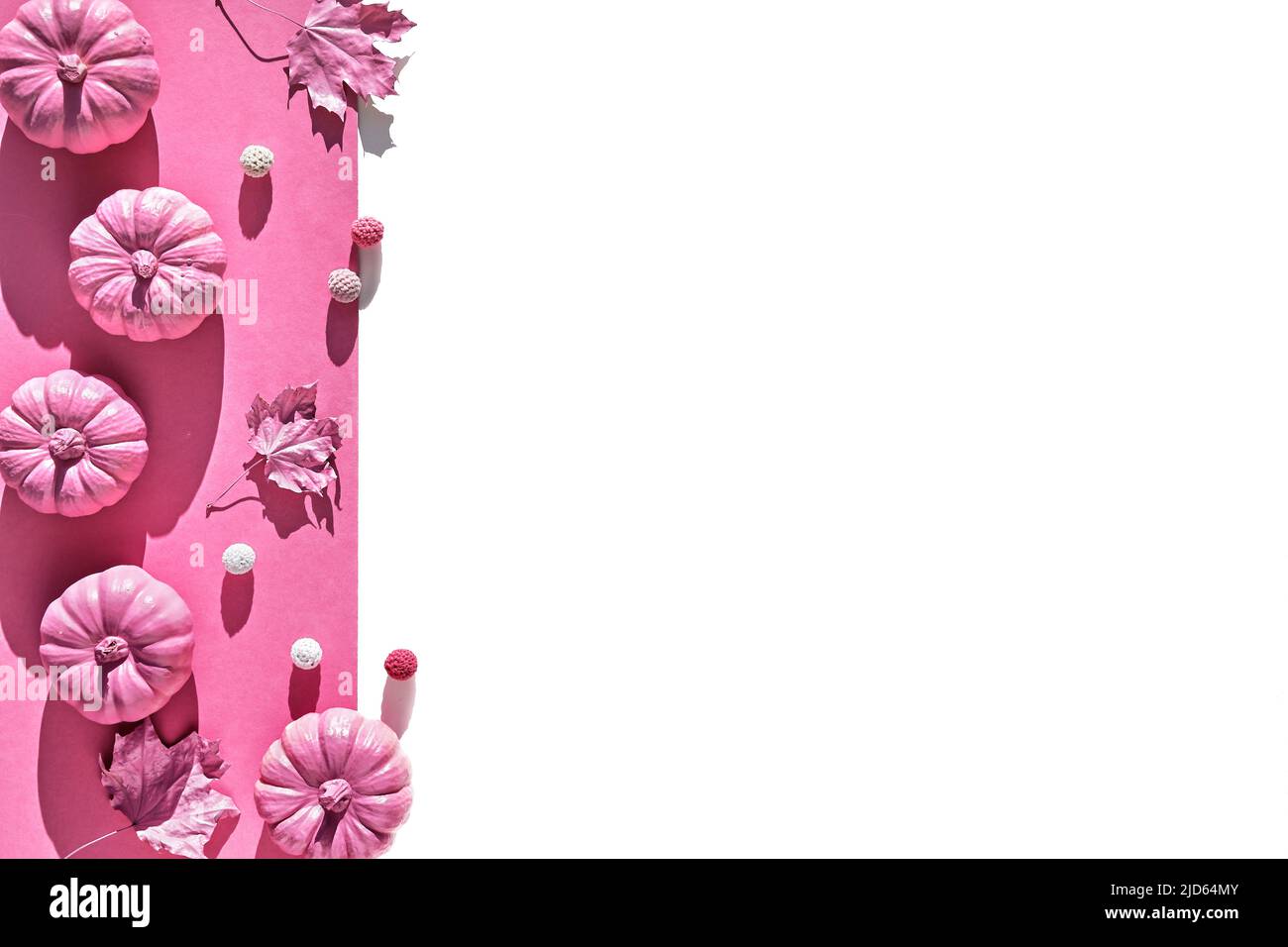 Fuchsia border hi-res stock photography and images - Alamy