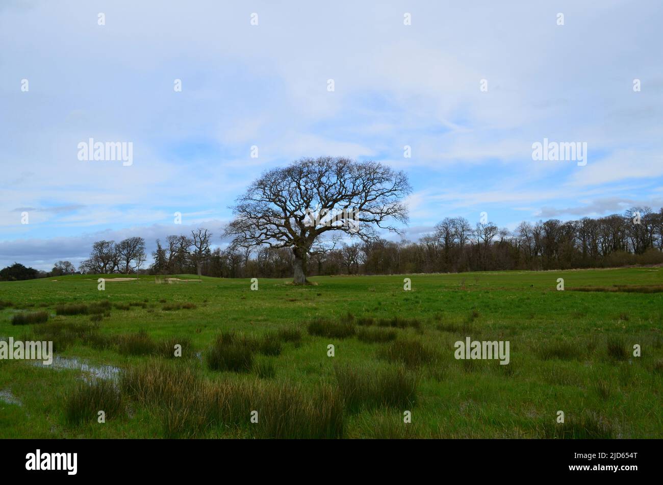 Golf ireland spring hi-res stock photography and images - Alamy