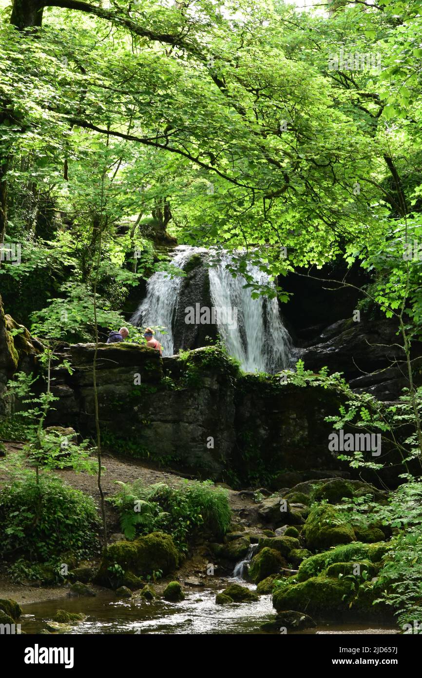 Malham, Janet's Foss,Yorkshire Dales Stock Photo - Alamy
