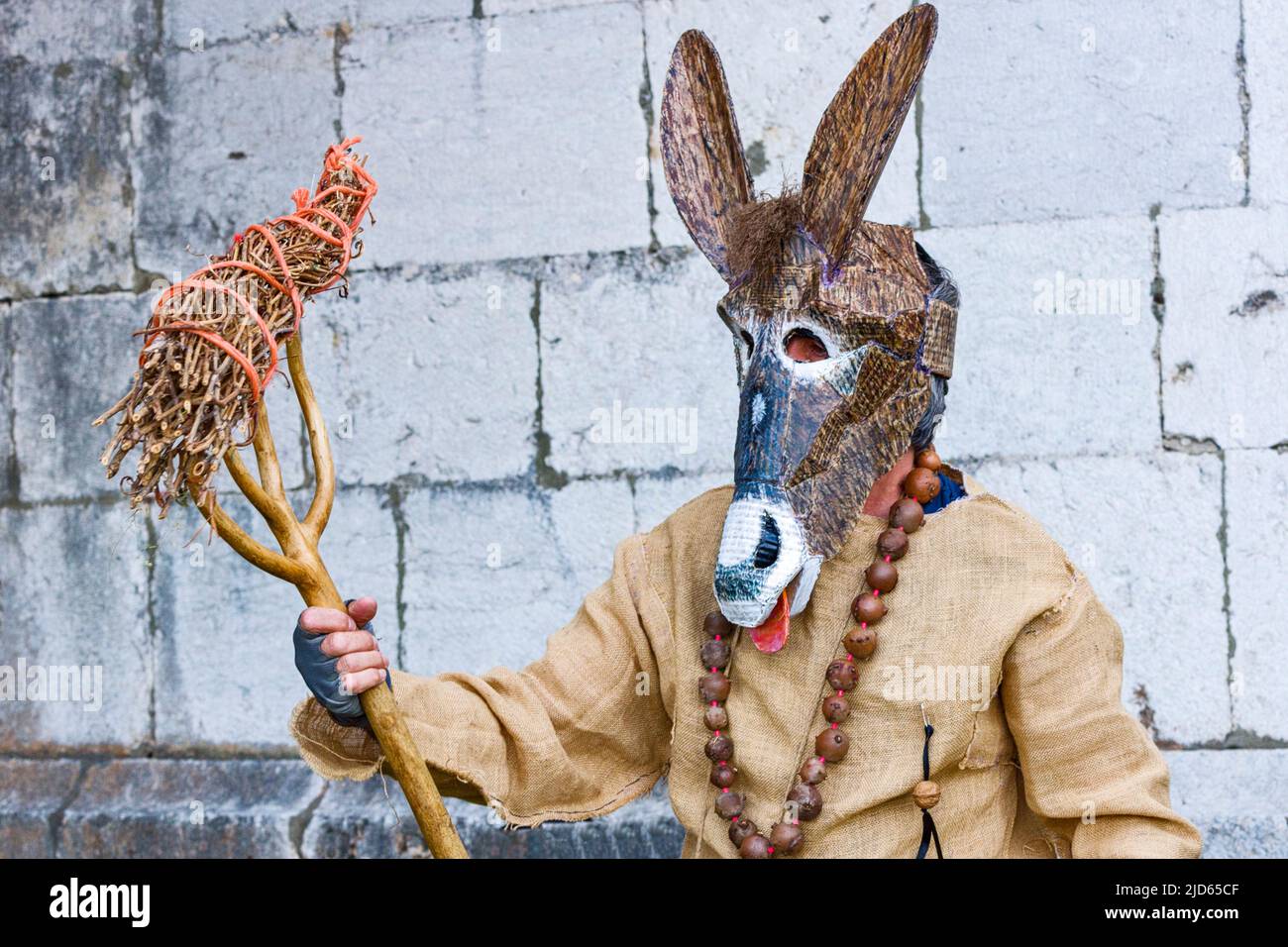 Donkey wearing donkey mask in hi-res stock photography and images - Alamy