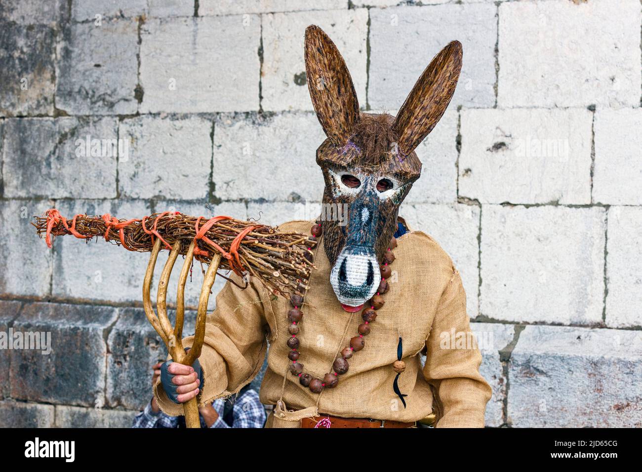 Donkey wearing donkey mask in hi-res stock photography and images - Alamy