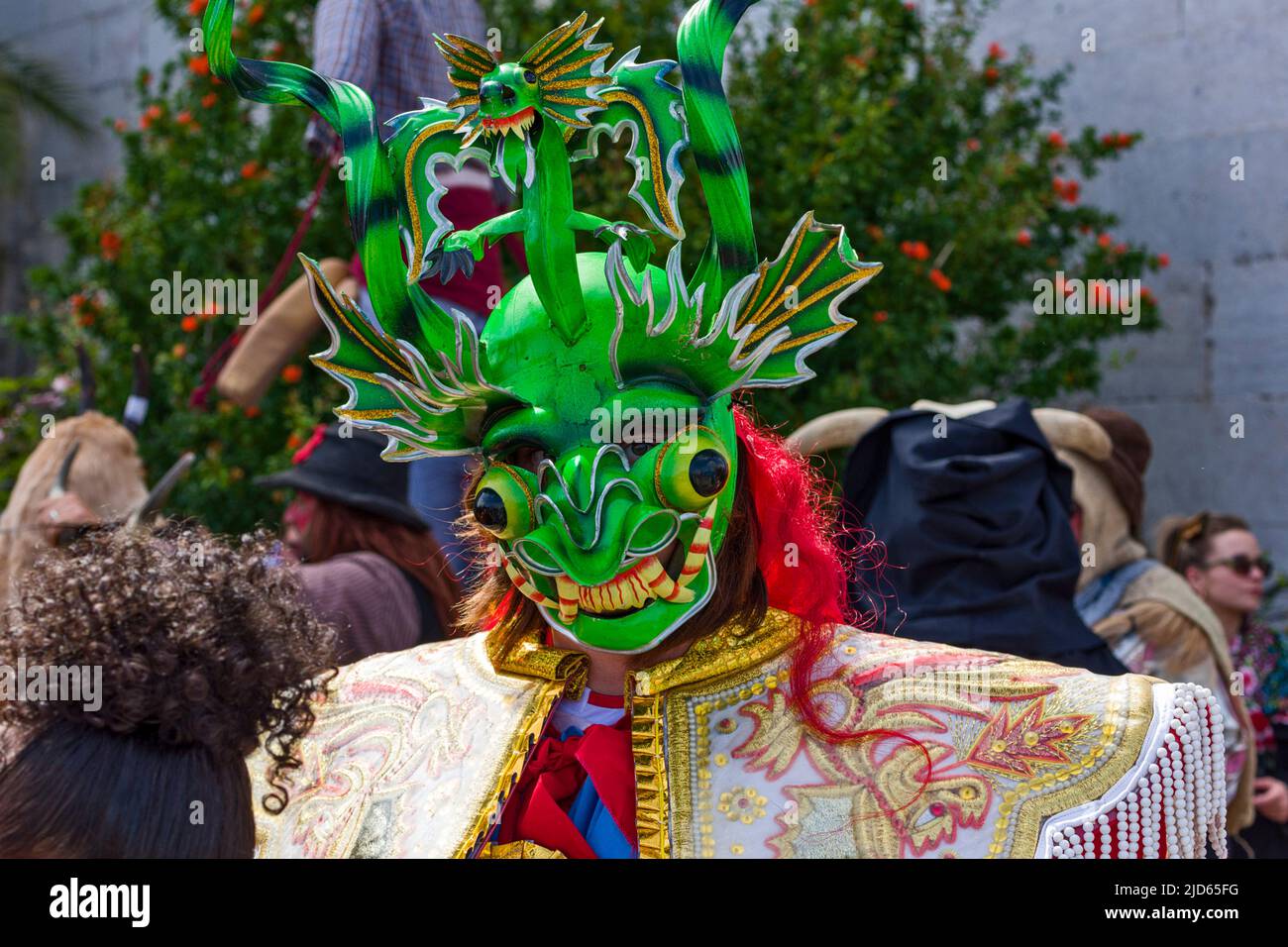 detail of the costume during the parade in the Festival of the Iberian ...