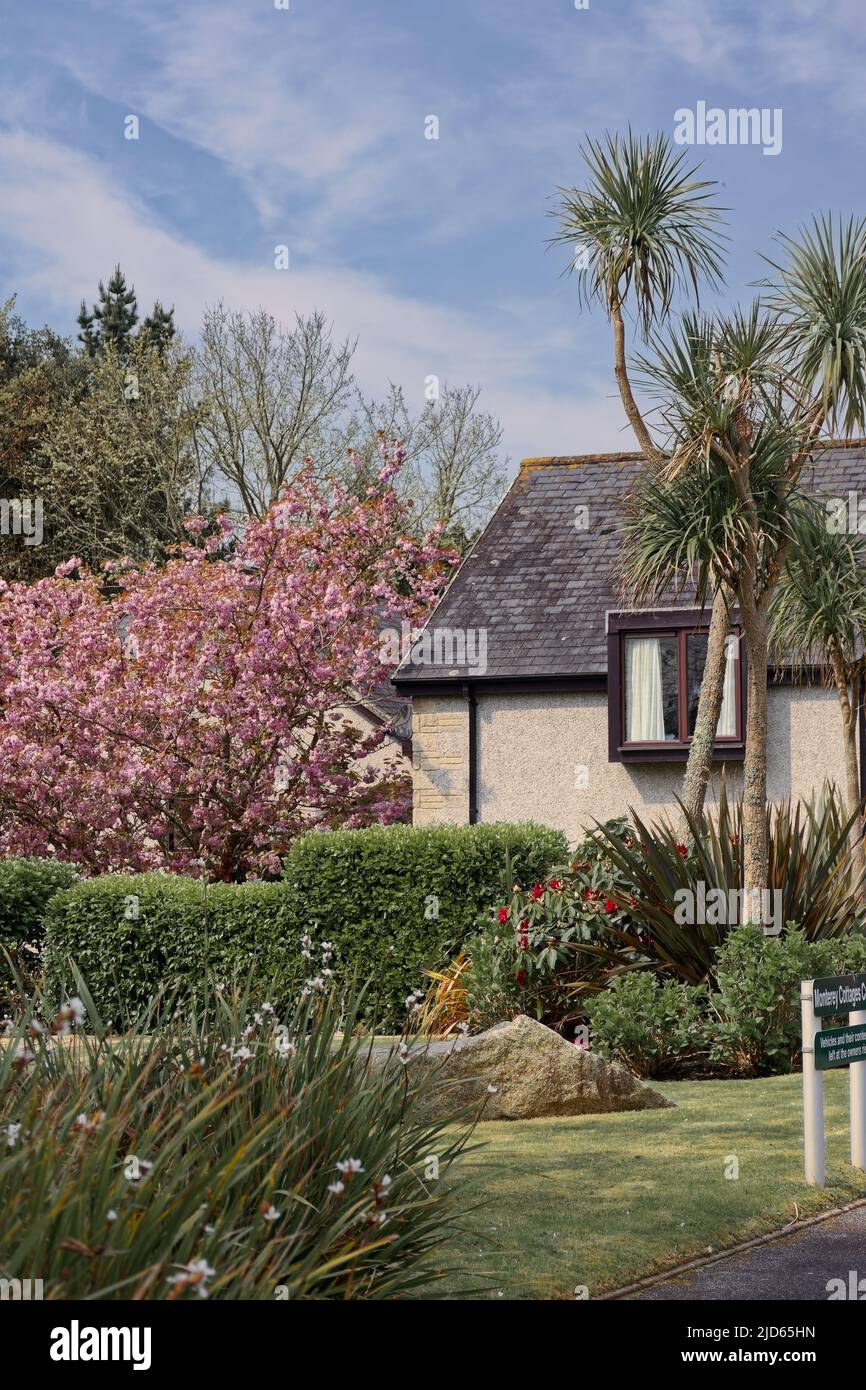 Easter fun at Maenporth, Cornwall Stock Photo - Alamy