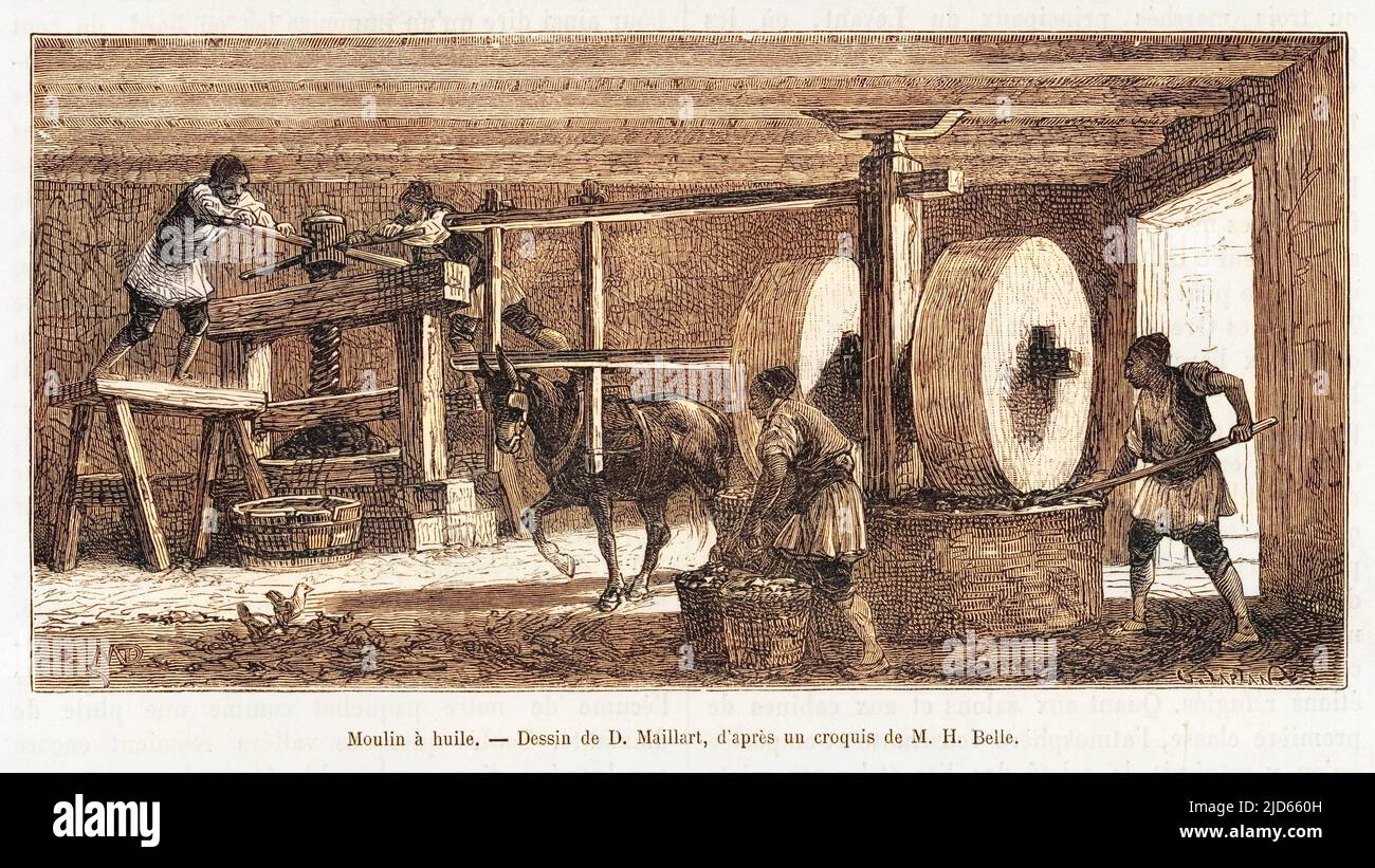 Food processing 19th century hi-res stock photography and images - Alamy