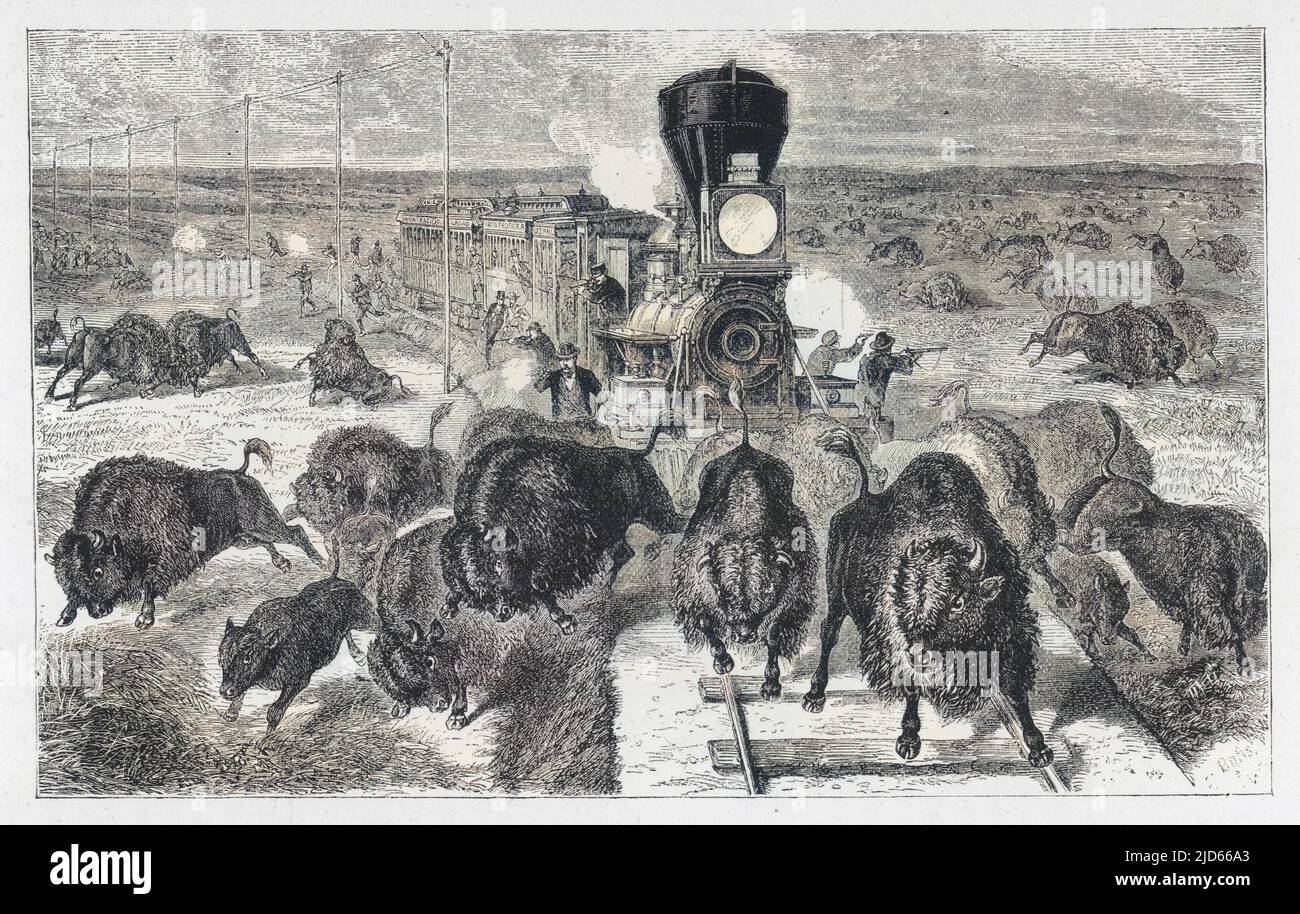 Shooting buffalo train hi-res stock photography and images - Alamy