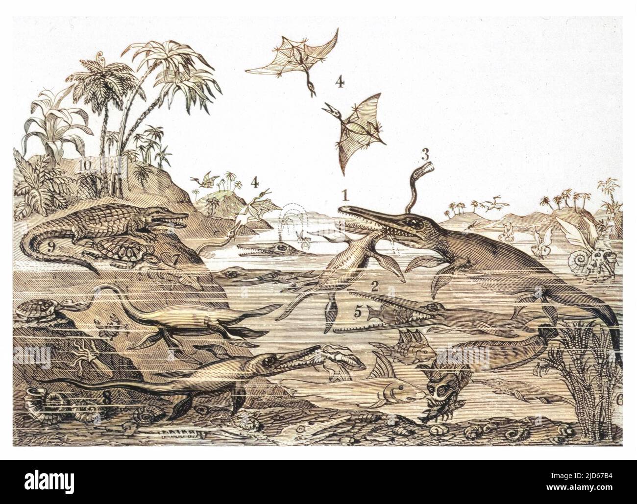 Prehistoric times hi-res stock photography and images - Alamy