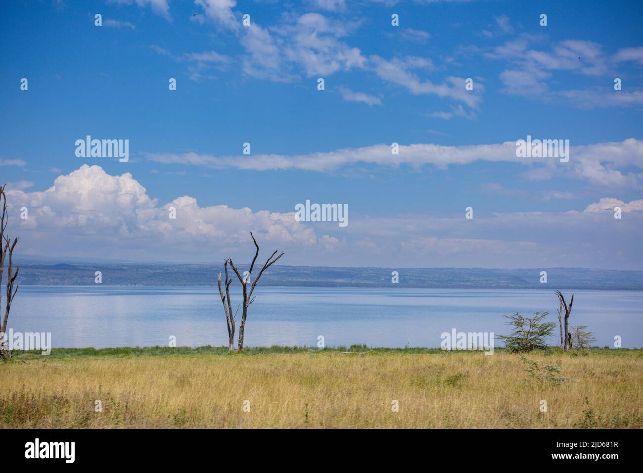 Nakuru is the capital city of Nakuru County, Kenya. It is northwest of ...