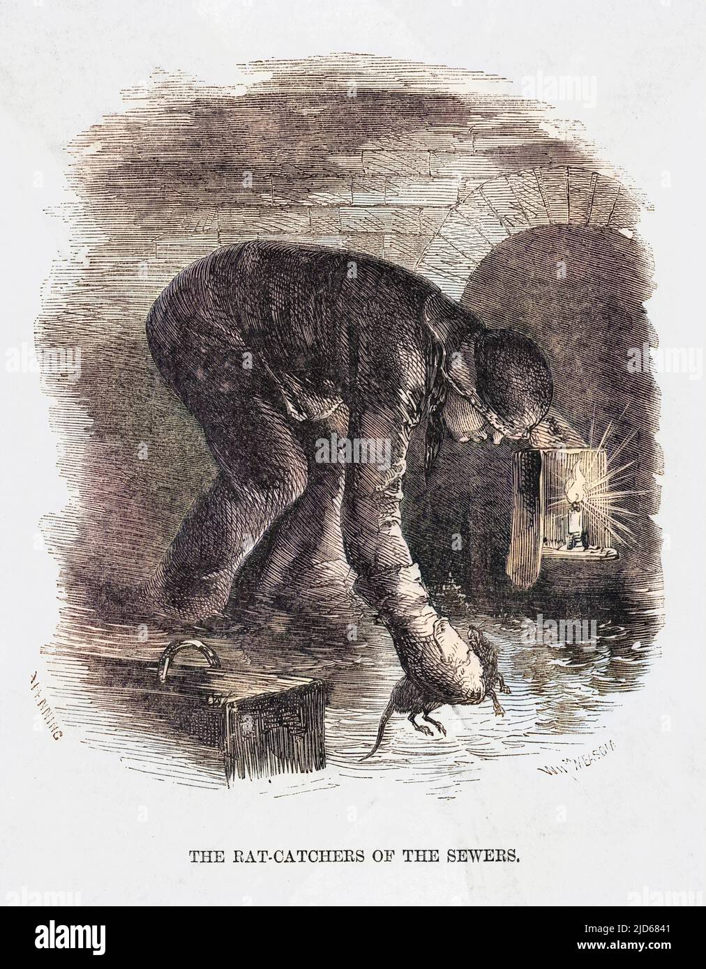 A rat-catcher at work in the London sewers. Colourised version of ...