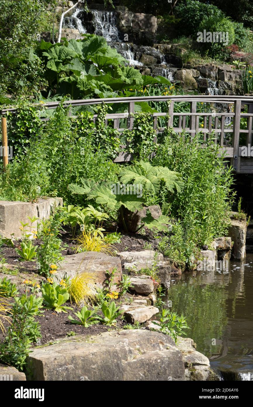 Beautiful settings at Regents park in London,UK Stock Photo - Alamy