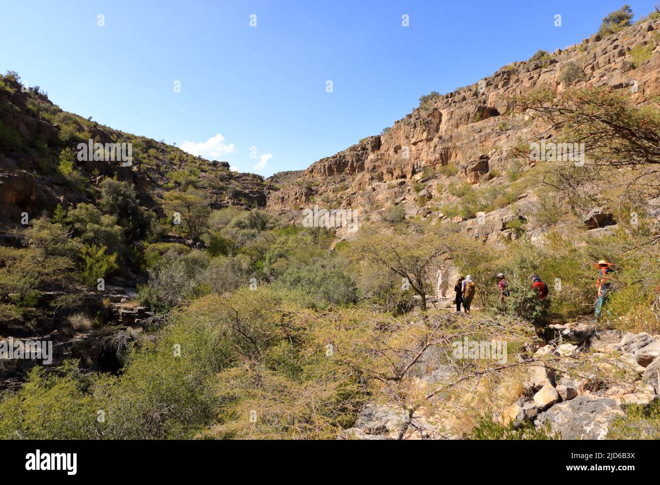 View of ruins of an abandoned village at the Wadi Bani Habib at the ...