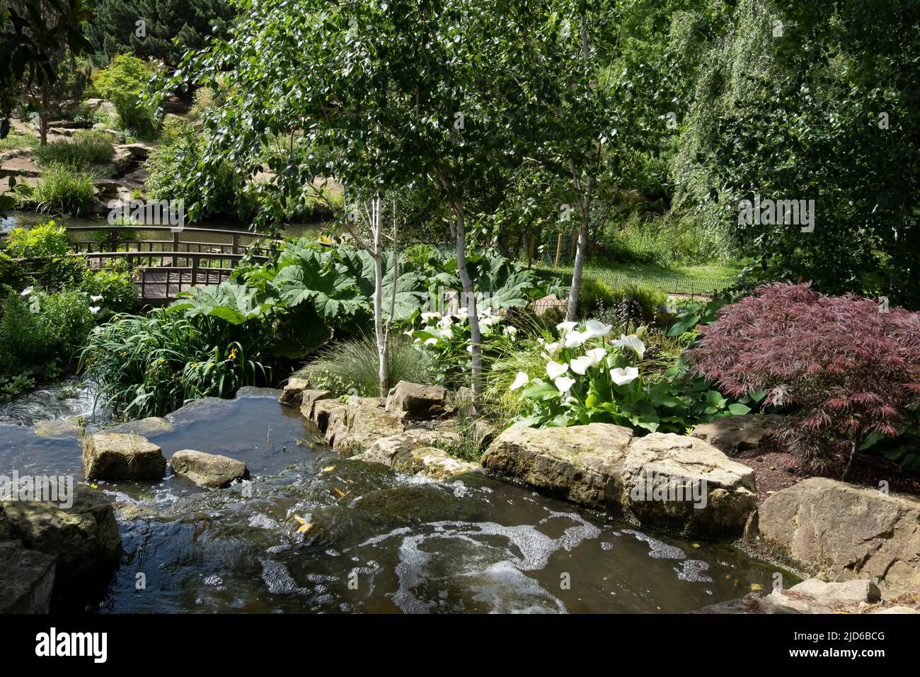 Beautiful settings at Regents park in London,UK Stock Photo - Alamy