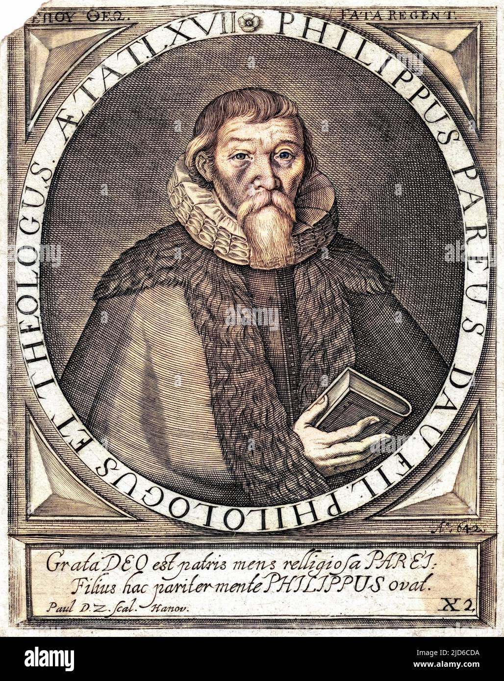 Pareus hi-res stock photography and images - Alamy