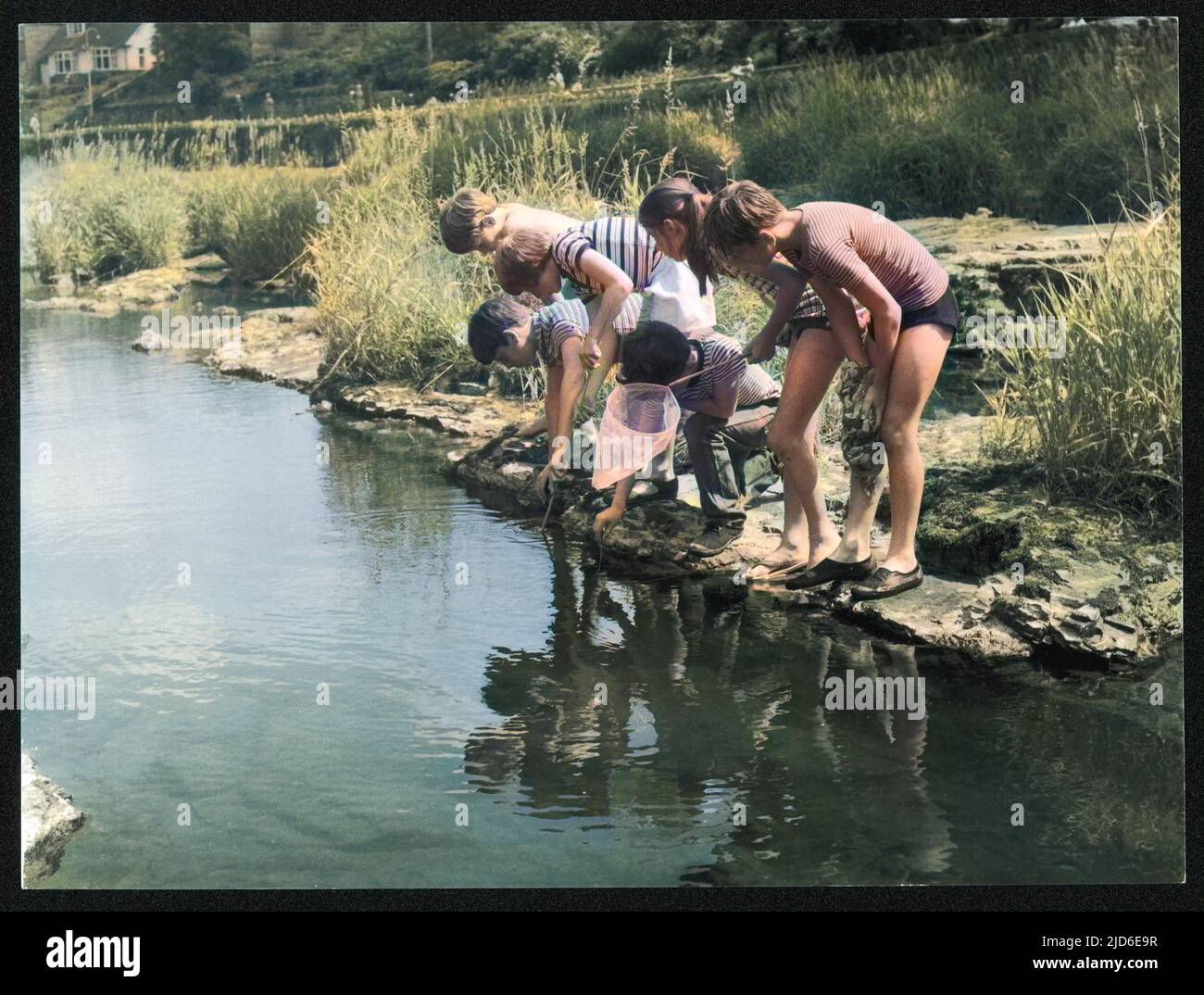 A group of children fishing with nets in a country stream. Colourised ...