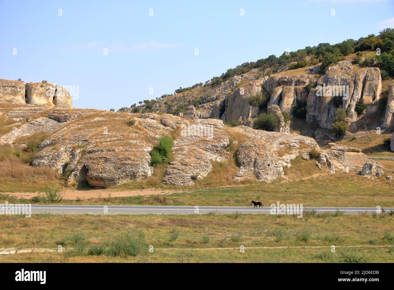 a cute street dog in the mountain landscape with some of the oldest ...