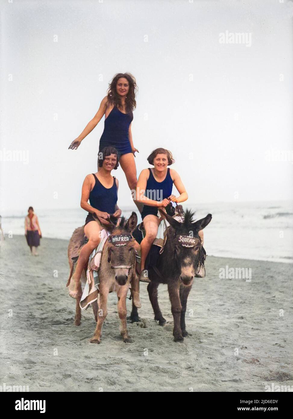Donkeys on the beach hi-res stock photography and images - Alamy