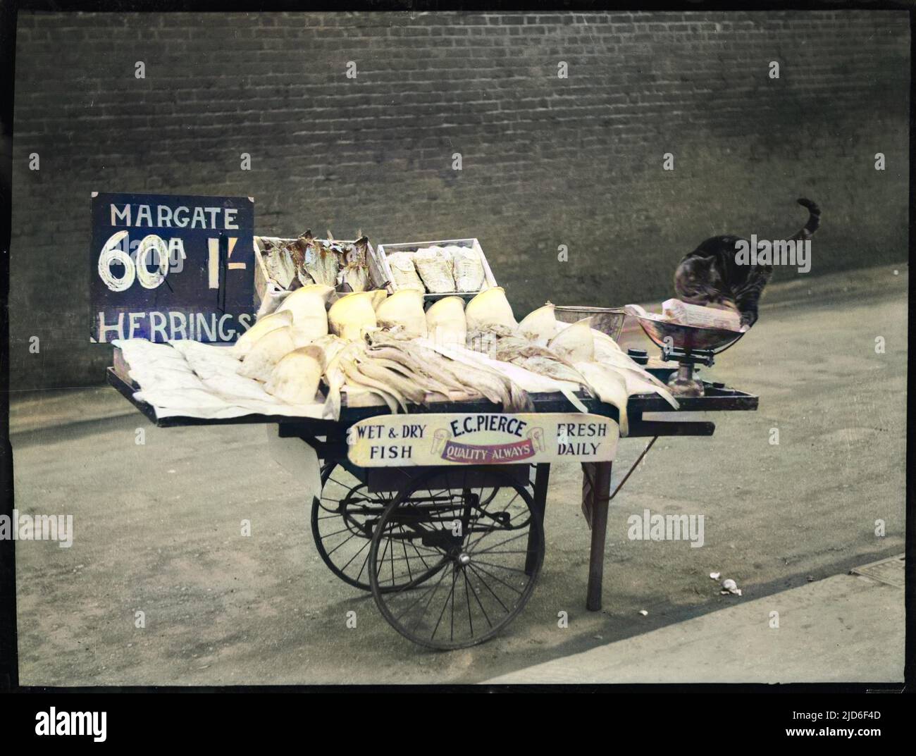 A naughty cat stealing fresh Margate herrings off a barrow! Colourised ...