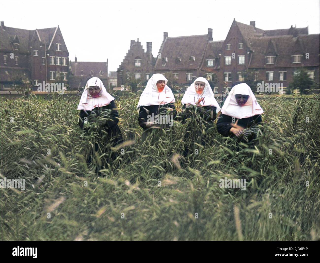 The 'Beguins', Belgian nuns, of the 'Beguinage' convent of Ghent ...