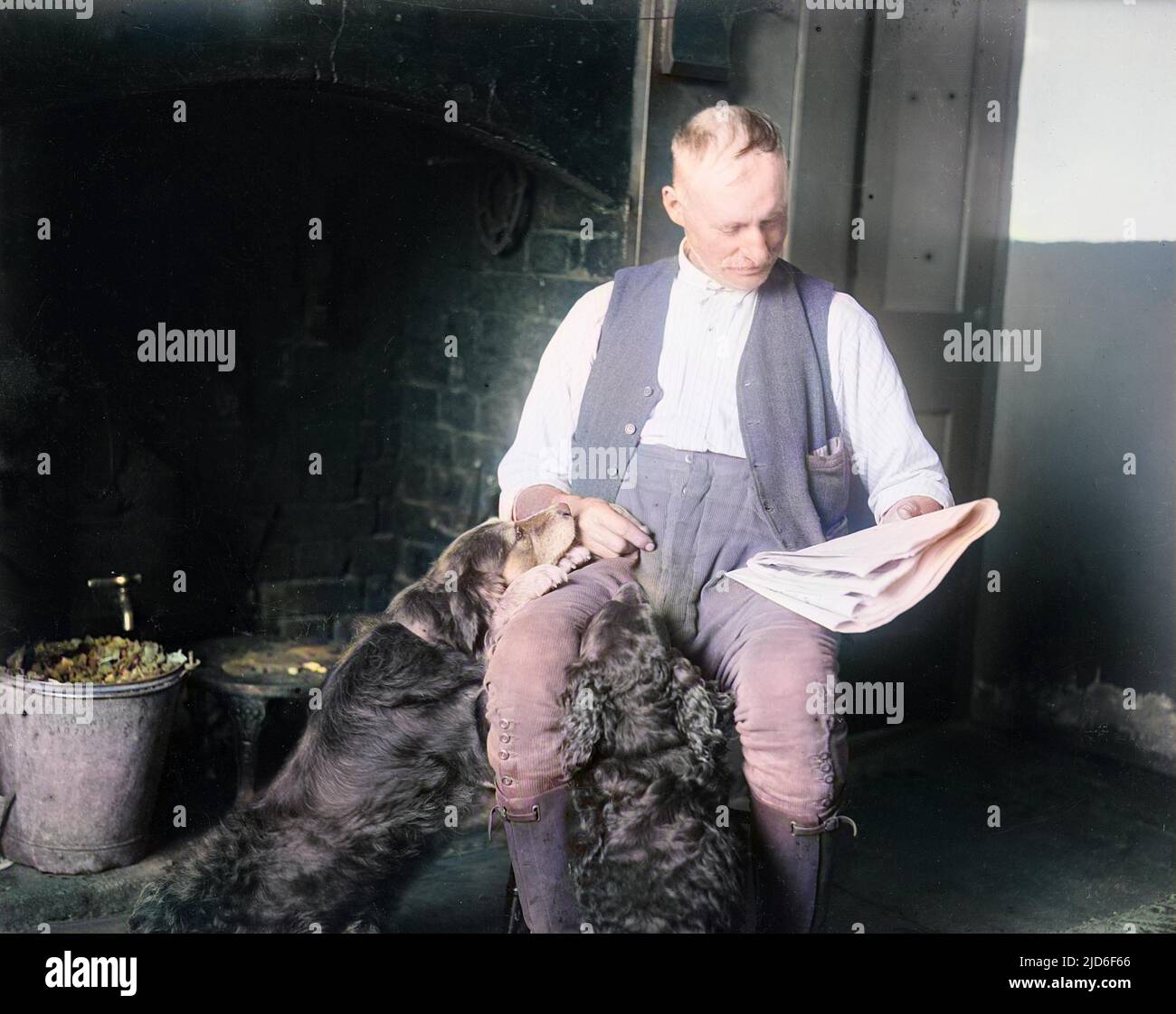Two friendly dogs pester their master as he tries to read his newspaper ...