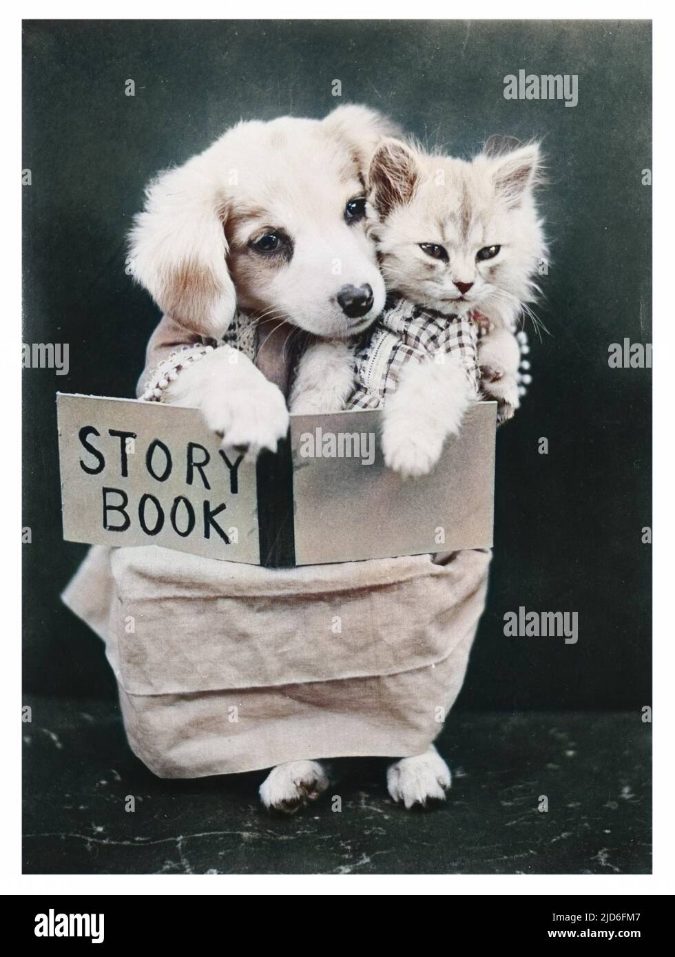 A puppy and a kitten reading a story book together. Colourised version ...