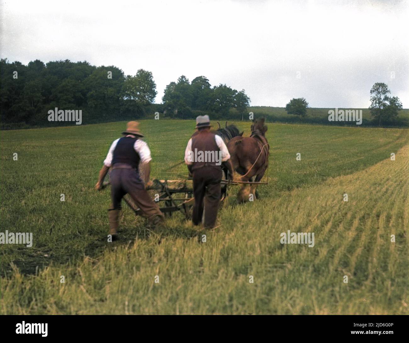 English farmers ploughing the fields with a horse-drawn plough ...