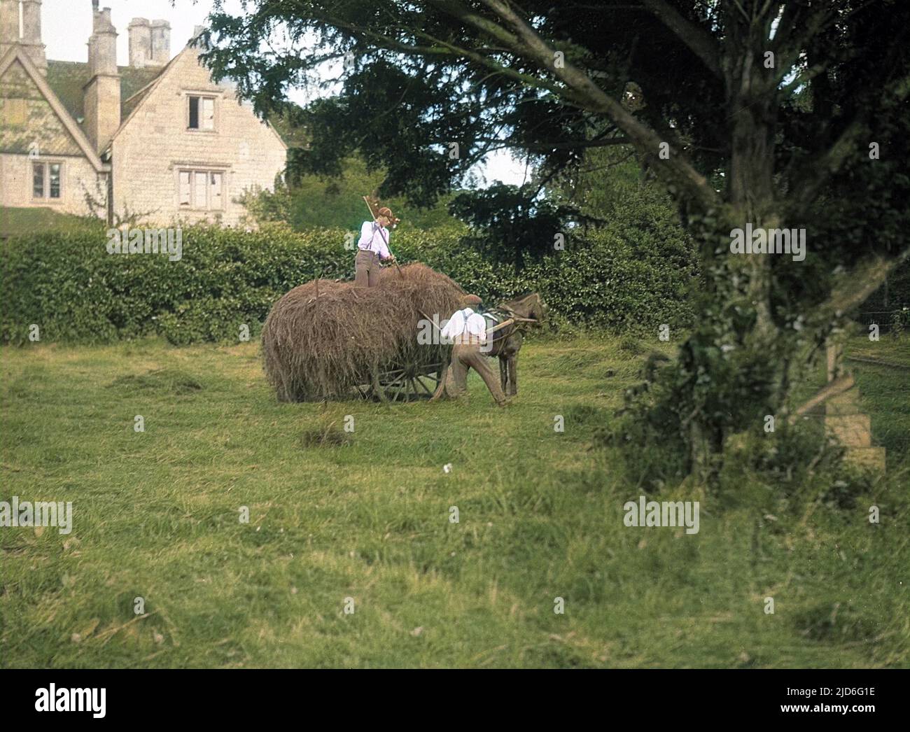 Haymaking on a farm at Quedgeley, Gloucestershire, England. Colourised ... Haymaking on a farm at Quedgeley, Gloucestershire, England. Colourised ...